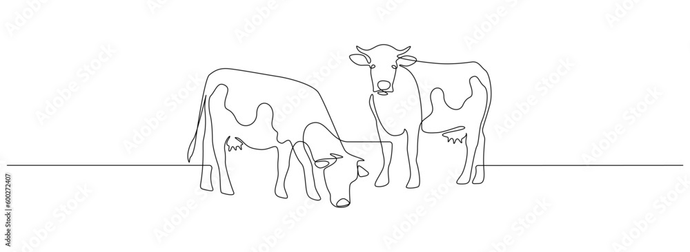 Cows on pasture in One continuous line drawing. Milk calf animal ...