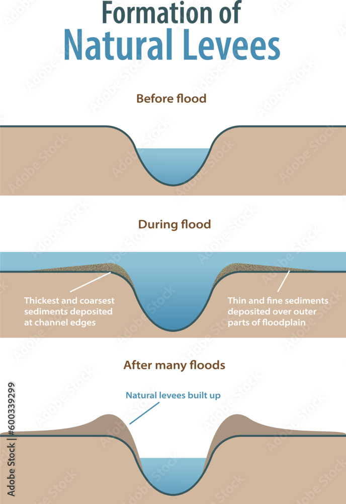 formation of natural levees infographic Stock Vector | Adobe Stock