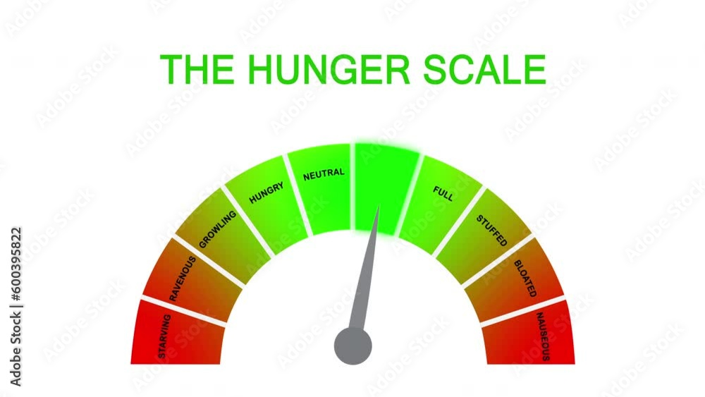Hunger-fullness scale for intuitive and mindful eating and diet control ...
