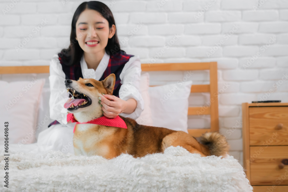 Foto de Beautiful asian girl playing with cuteness shiba Inu dog's ...