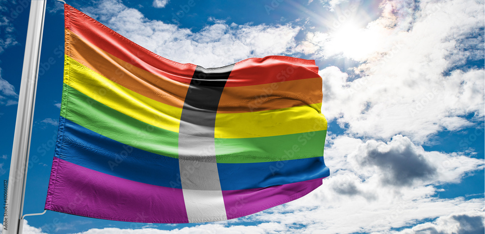 homoflexible flag Homoflexible is a sexual orientation in which someone ...