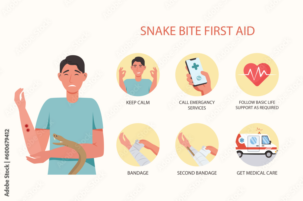 Snake bite first aid medical examination concept with people scene in ...