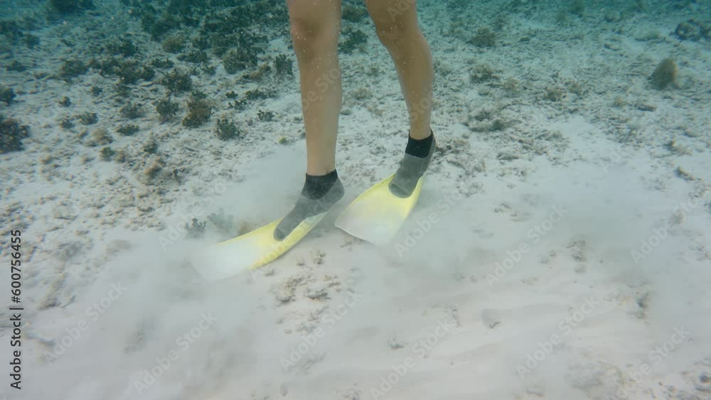 Diver's feet in flippers tramples bottom of reef ocean raising clouds ...