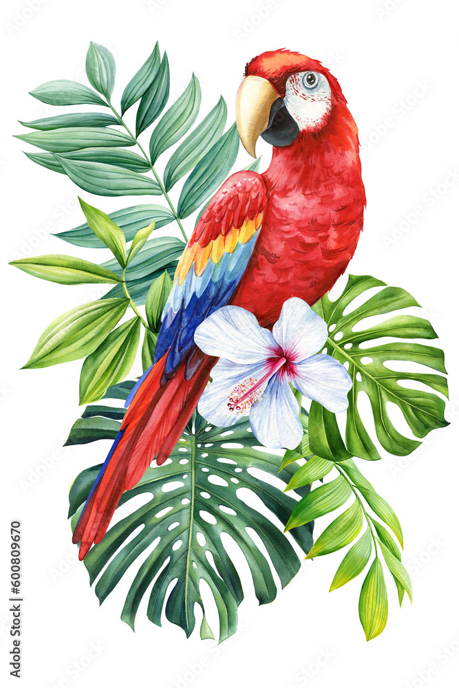 Beautiful tropical bird watercolor illustration hand drawing, parrot ...