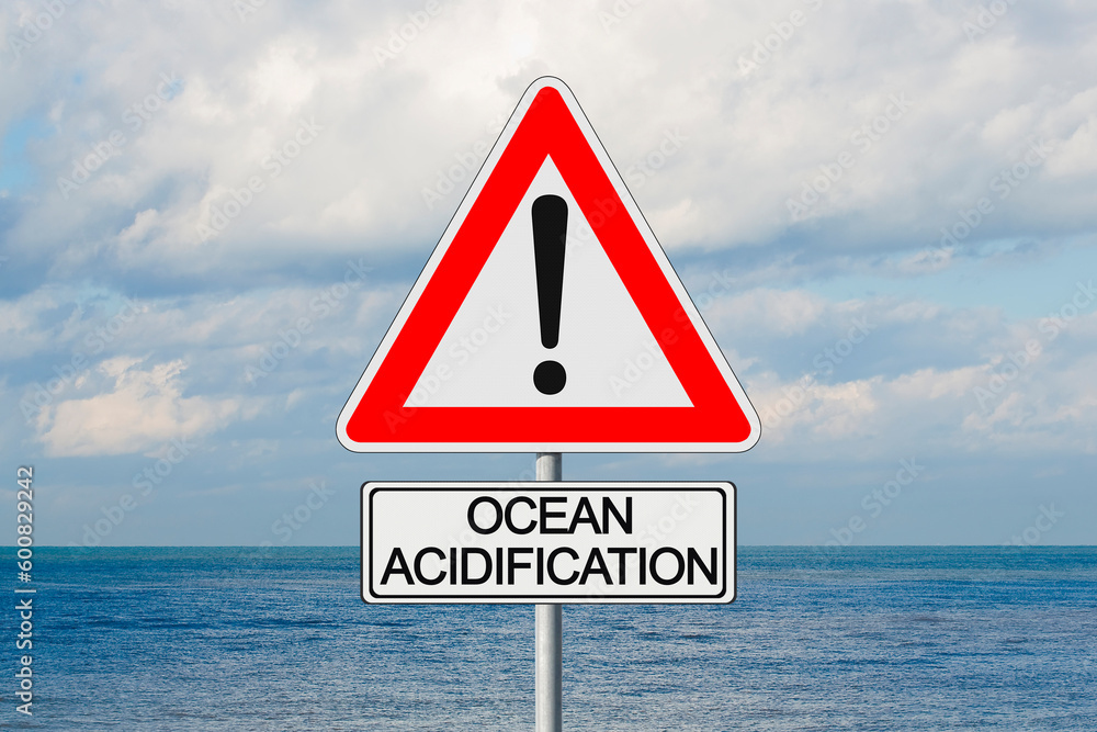 Alert Ocean Acidification - CO2 Carbon dioxide emissions are absorbed ...