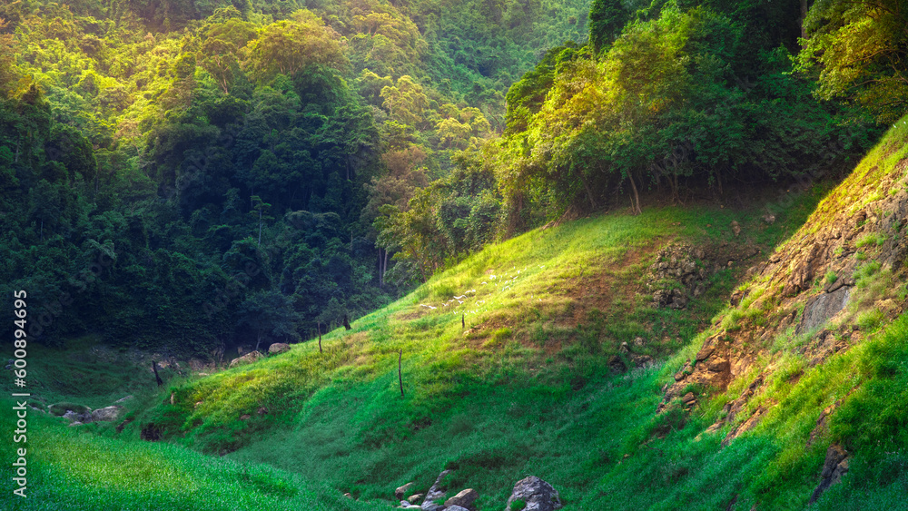 Khao Chong Lom Green Mountain with meadow and river at Khun Dan Prakarn ...