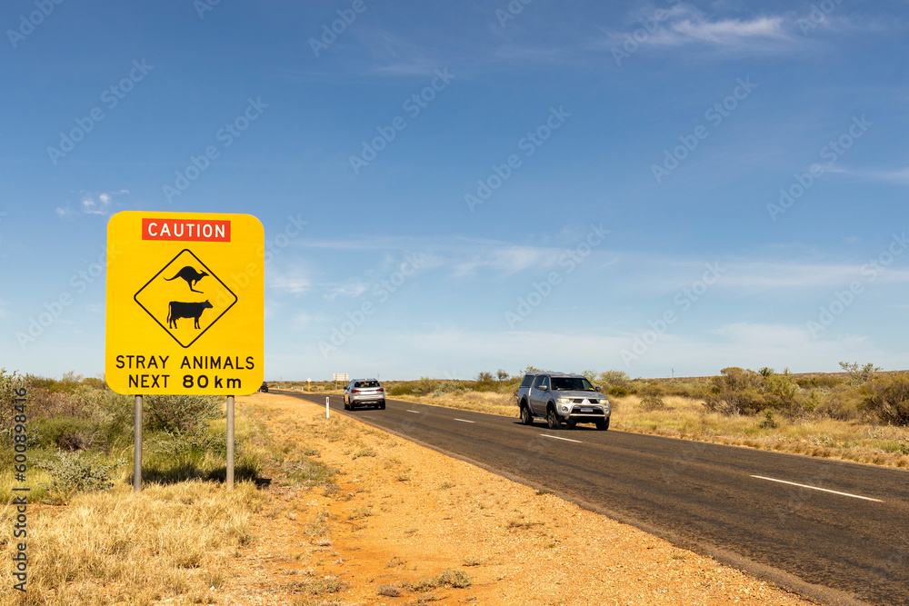 Stray Animals On Road