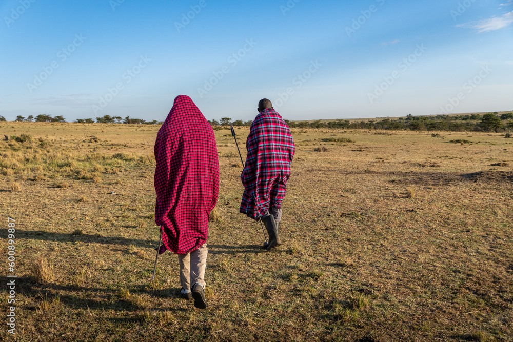 Masai tribe hunting in the Masai Mara during a safari day in the ...
