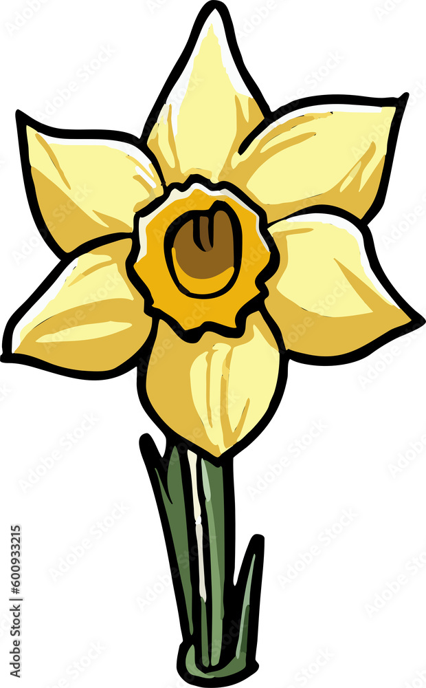 daffodil png graphic clipart design Stock Illustration | Adobe Stock
