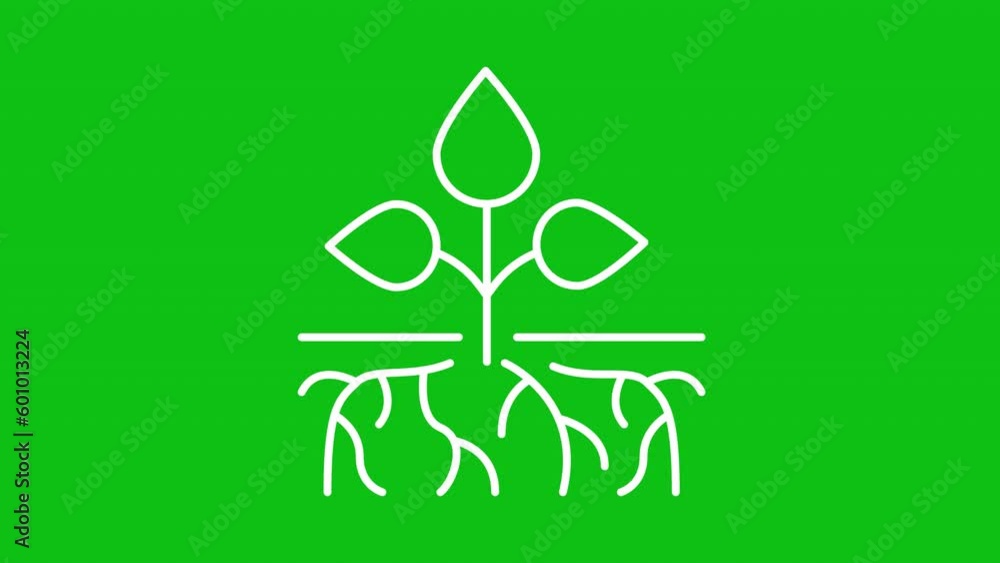 Animated plant roots white line icon. Growing roots animation. Roots ...