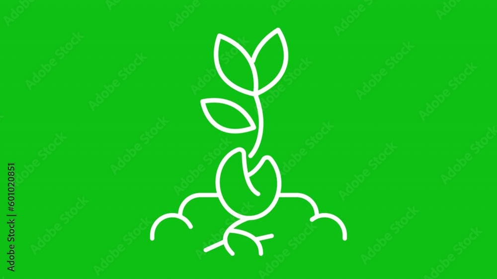 Germination white line animation. Animated sprout growing from seed ...