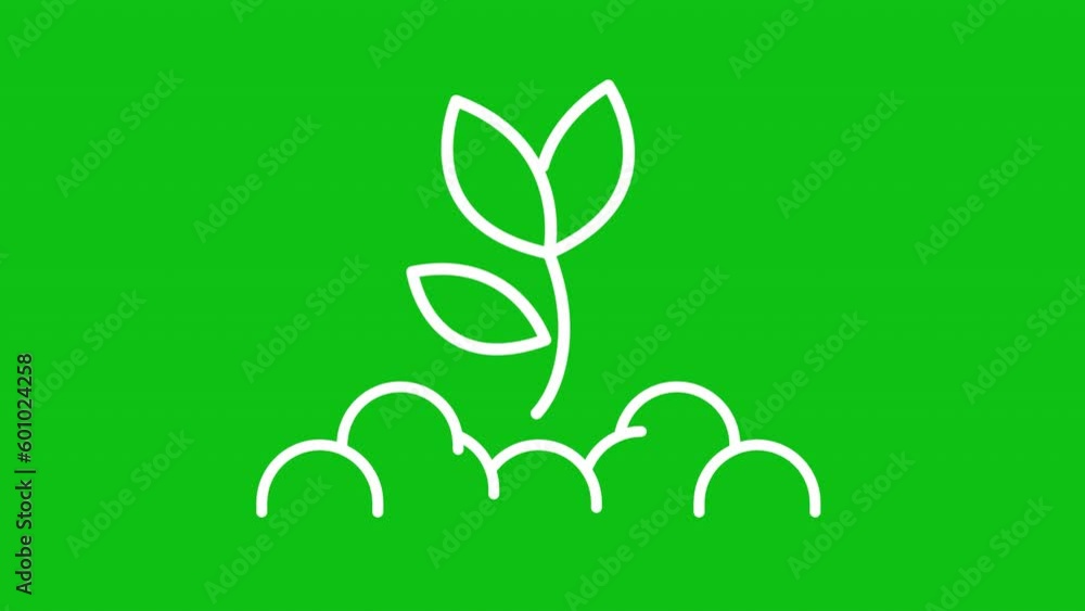 Plant growth white line animation. Animated plant sprouting from soil ...