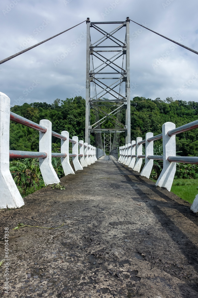Suspension bridge one front and back low wide angle view with green ...