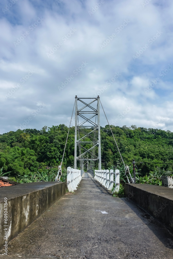 Suspension bridge one front and back landscape view with green trees ...