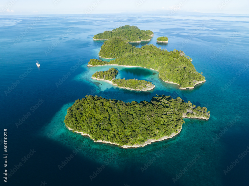 Healthy fringing coral reefs grow around the beautiful islands that ...