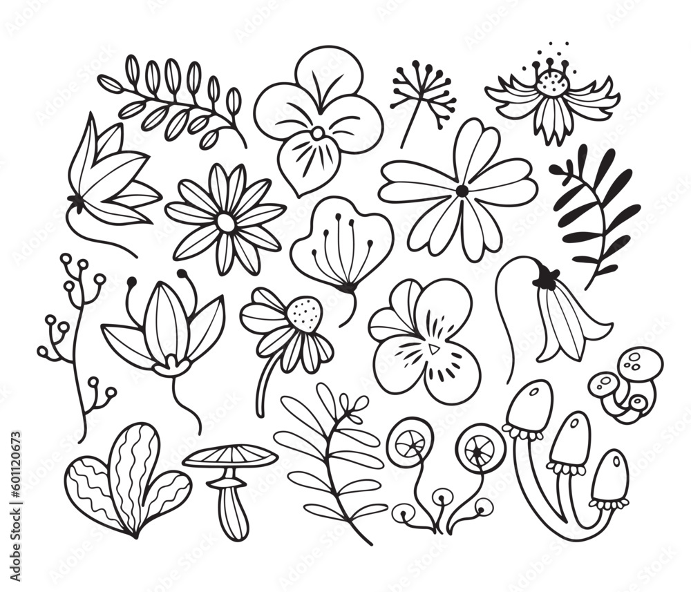 Hand drawn cute doodle line art set with spring flowers, isolated ...