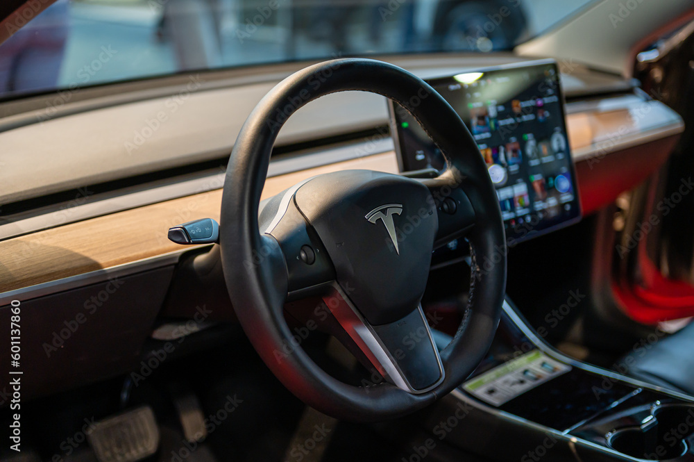 interor of Tesla Model Y. Tesla screen, steering wheel, interor car ...