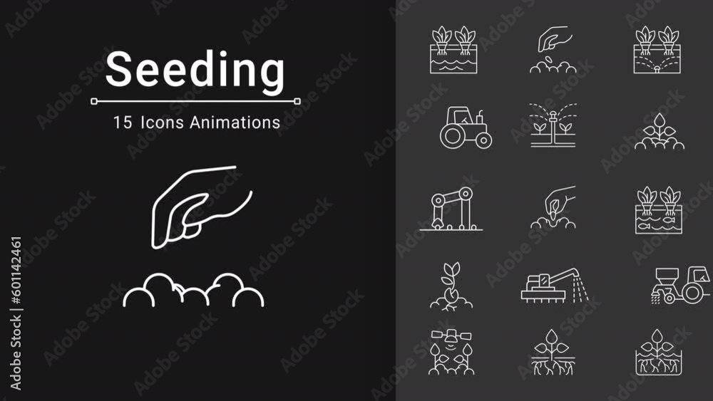 Vidéo Stock Seeding white line animation set. Animated line ...