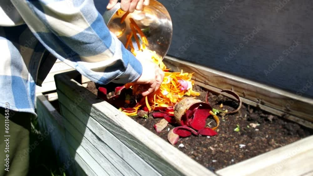 Compost from organic waste. Man throws kitchen vegetable fruit and egg ...