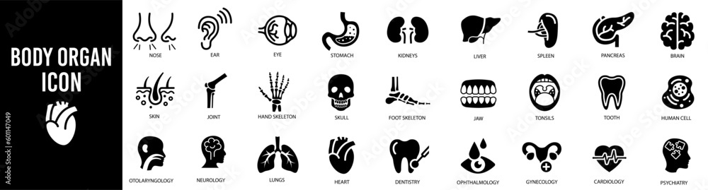 Organs, anatomy icon set. Human bones, stomach, brain, heart vector ...