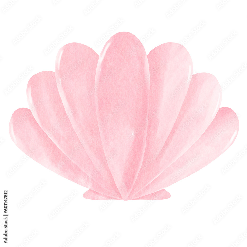 Watercolor pink shell illustration isolated on transparent background ...