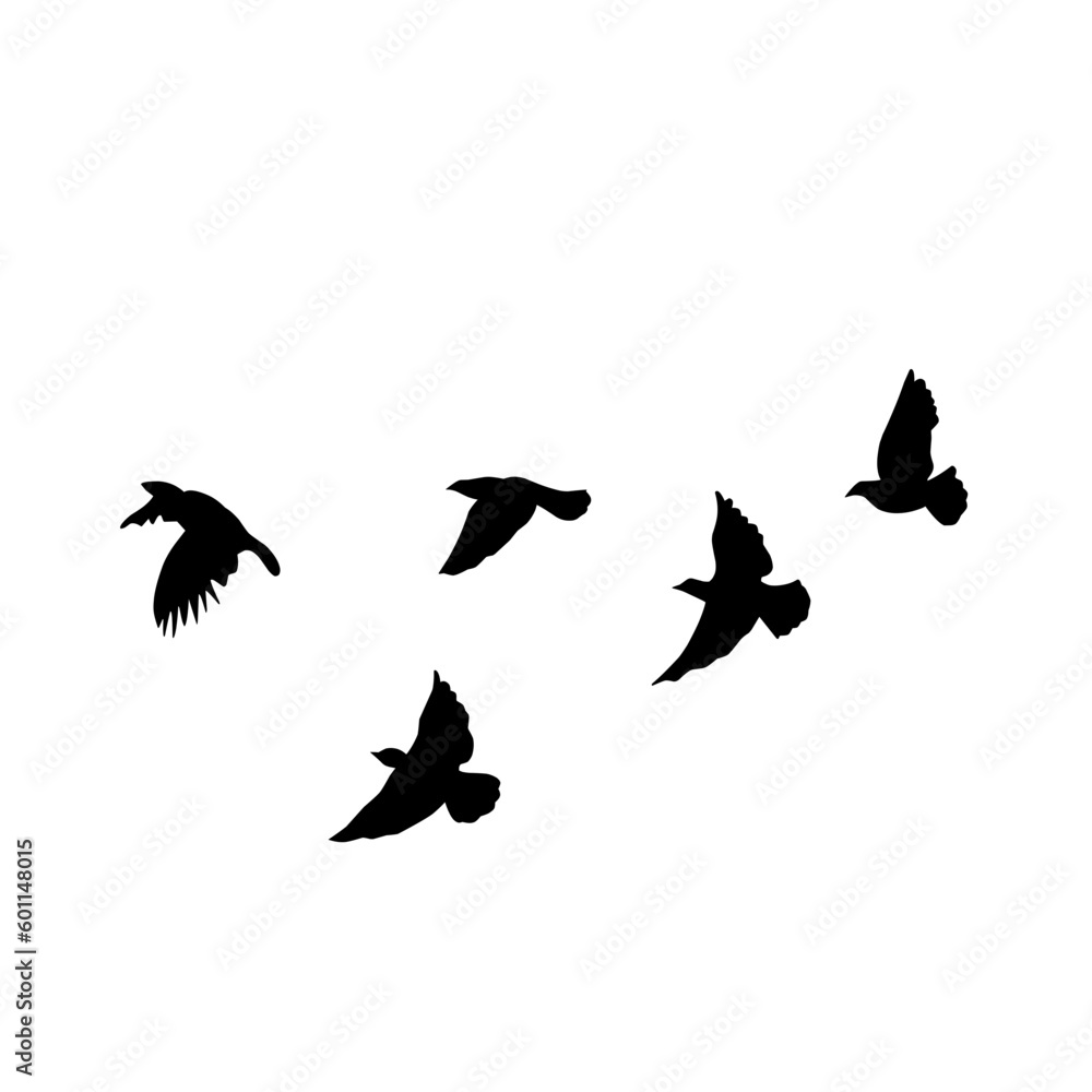 vector silhouette of flying birds Stock Vector | Adobe Stock