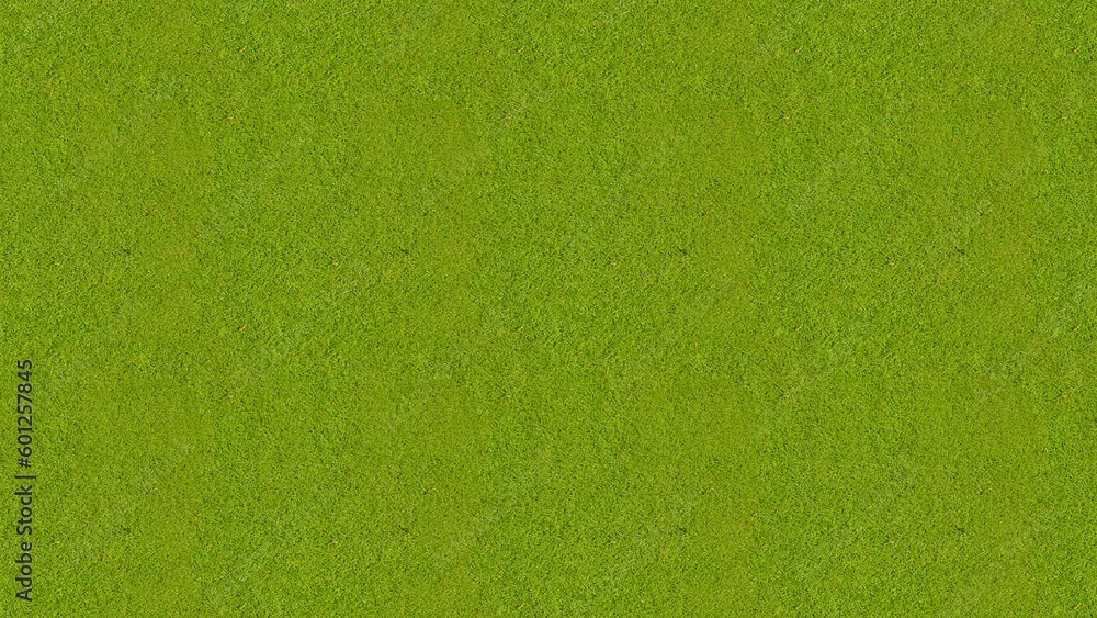 Green grass texture for sport background. Detailed pattern of green ...