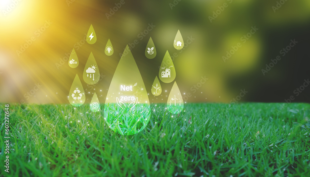 Net Zero Emission Reduction Concept planting trees Help eliminate gases ...