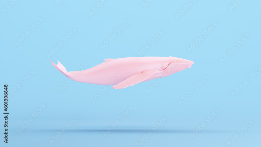 Pink Whale Large Humpback Whale Gen Z Blue Kitsch Background 3d ...