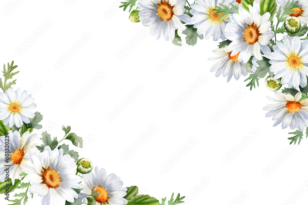 Poster Daisy flower border – Wall Art | UkPosters