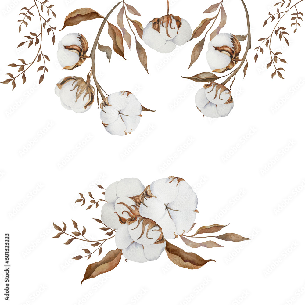 Cotton flower and brunch border and composition set. Watercolor hand ...