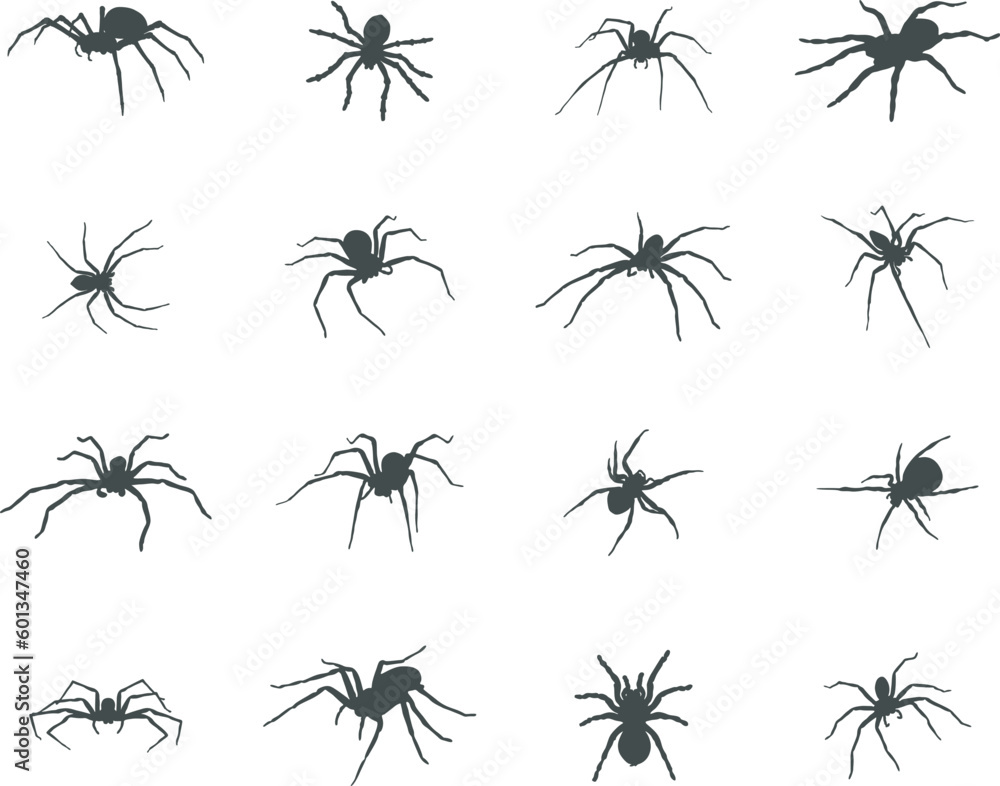 Spider silhouette, Spider SVG, Spider silhouettes, Spider vector icon ...