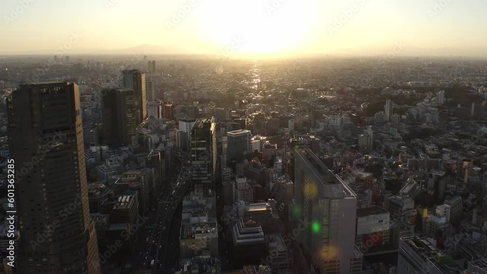 TOKYO, JAPAN : Aerial sunset CITYSCAPE of TOKYO and MOUNT FUJI. View of ...