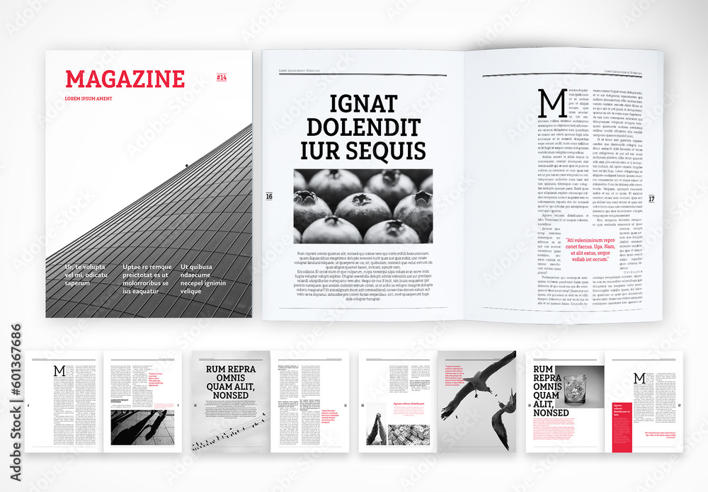 Grayscale Magazine with Red Accents Stock Template | Adobe Stock