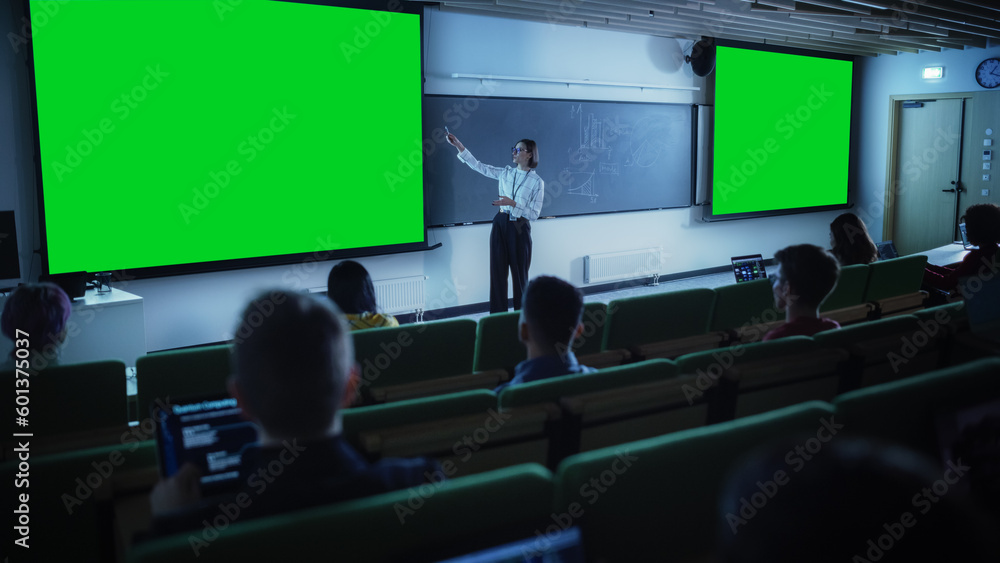 Young University Professor Explaining a Lecture, Pointing on a Green ...