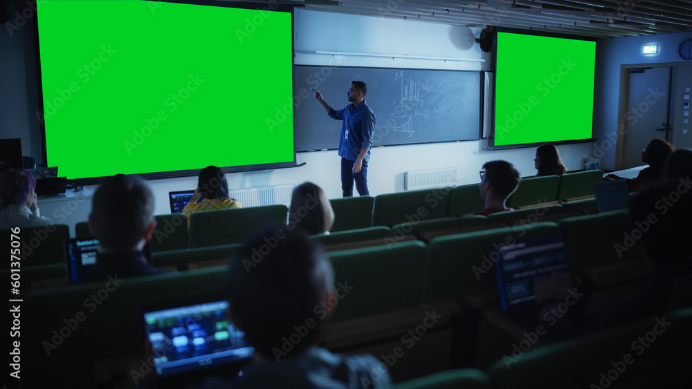 Young University Professor Explaining a Lecture, Pointing on a Green ...