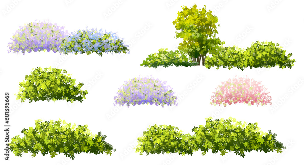 Vector of flower grass or blooming shrub isolated on white background ...