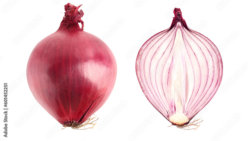 Poster Set of fresh red onion isolated on transparent background, PNG ...