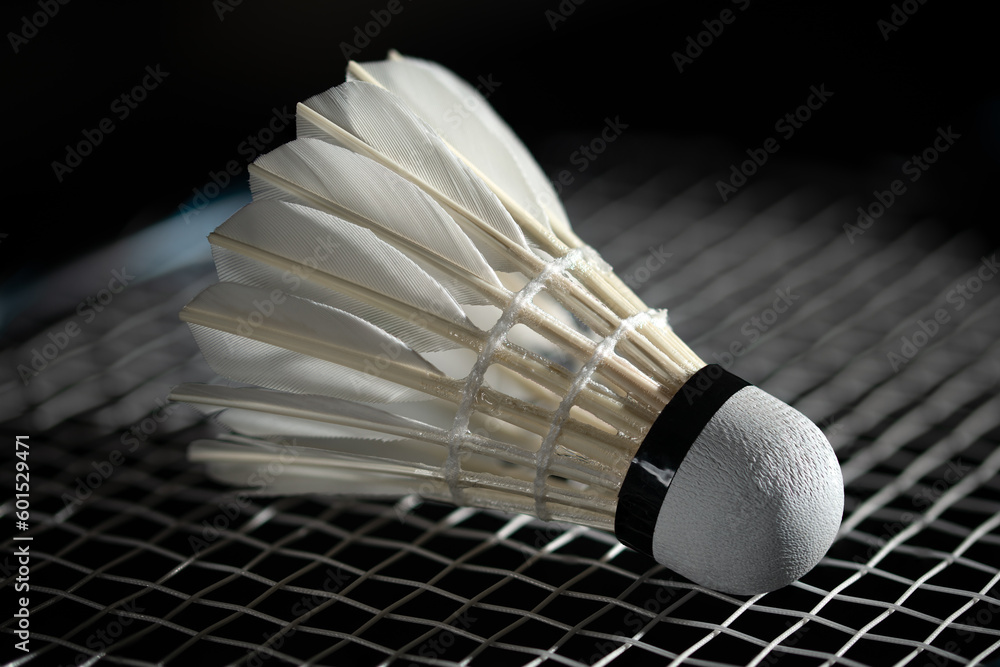 Badminton shuttlecock and racket. Goose feather shuttlecocks. High ...