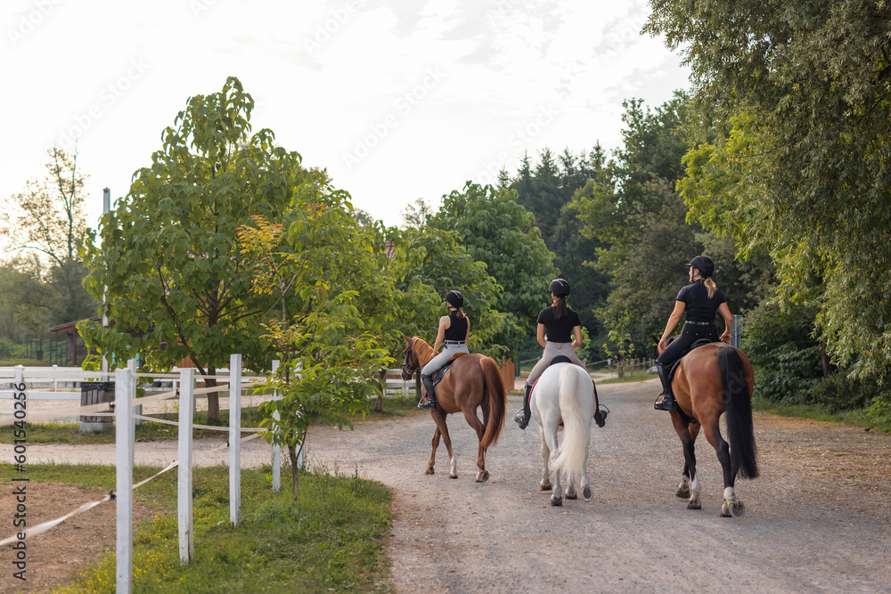 Rear view of three female riders riding horses side by side near white ...
