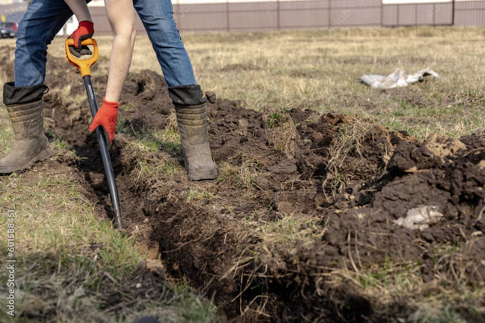 Drainage ditch. A man is digging a ditch. Laying a drainage pipe ...