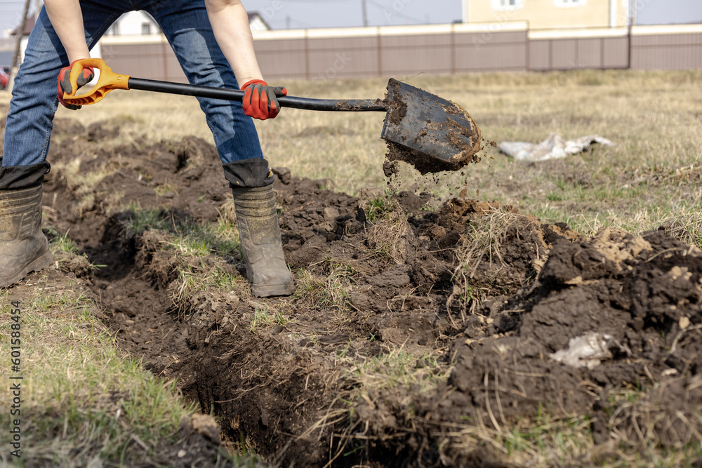 Man`s hands hold a metal shovel. A man is digging a ditch. Laying a ...