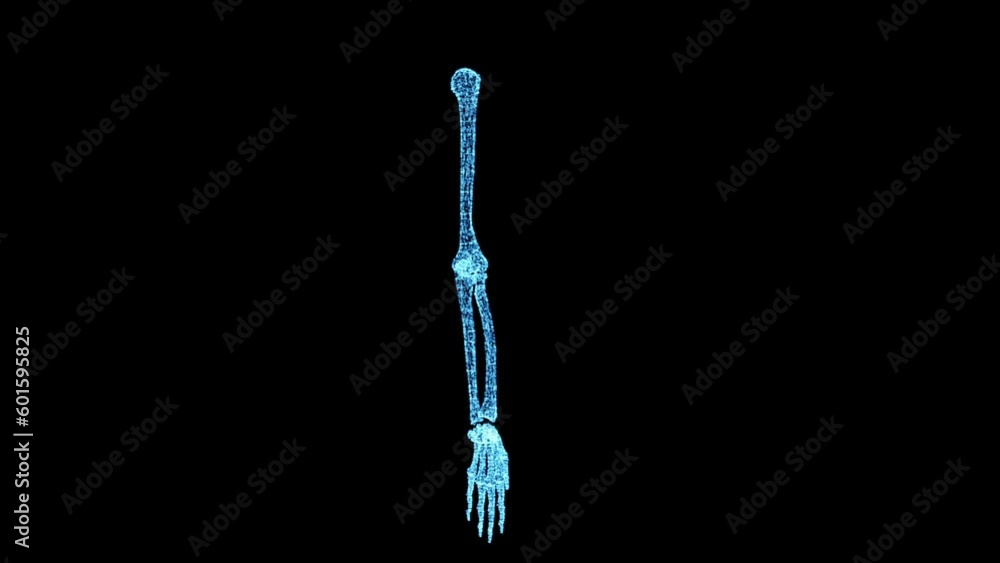 Digital, 3d and medical with x ray of arm for data, research or ...