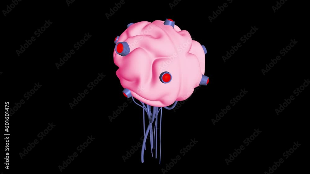 Cyber brain wired neural network. Robotic eternal organ. Cyborg robot ...