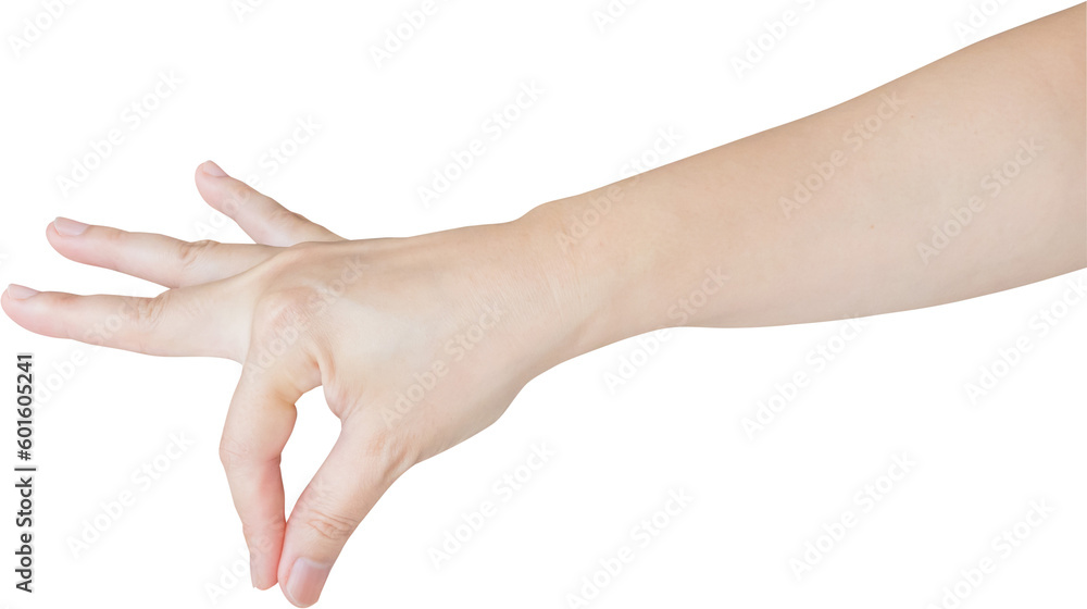 Woman hand gesture holding something isolated on white background Stock Photo | Adobe Stock