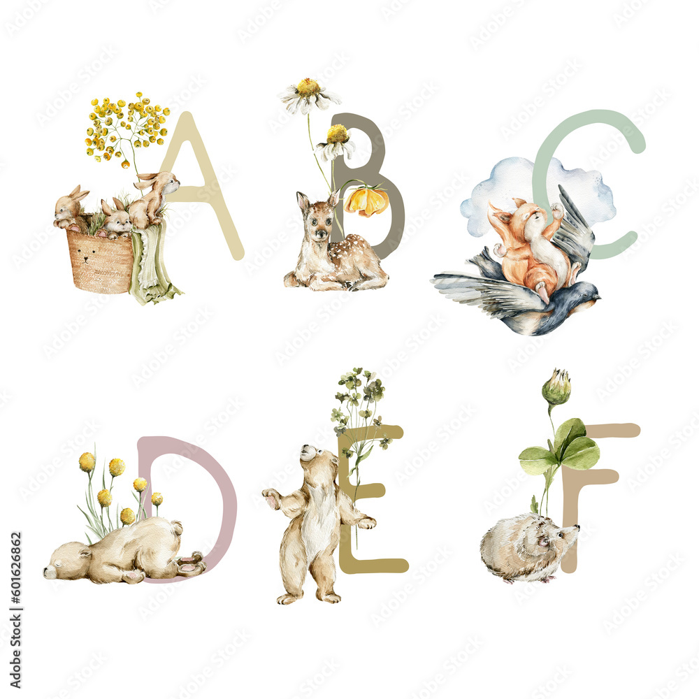 Watercolor cute woodland alphabet. Hand painted baby letters, numbers ...