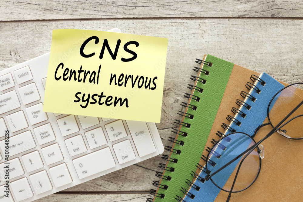 CNS. Central Nervous System. top view of notepad with text. white ...