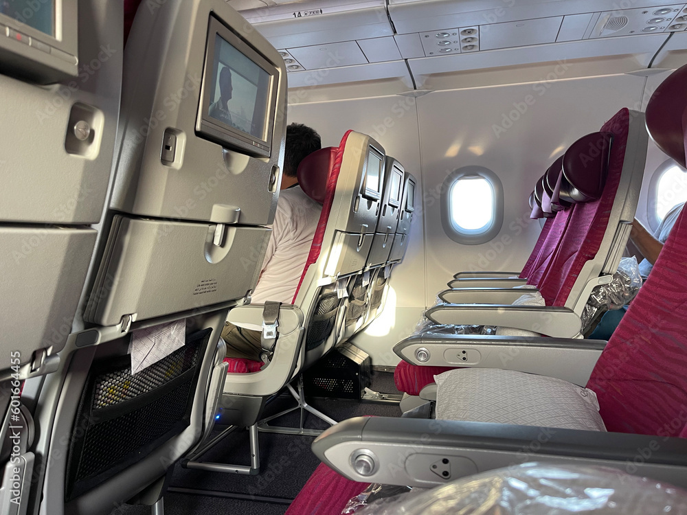 Interior of a modern airplane. Aircraft cabin with empty seats. Pillows ...