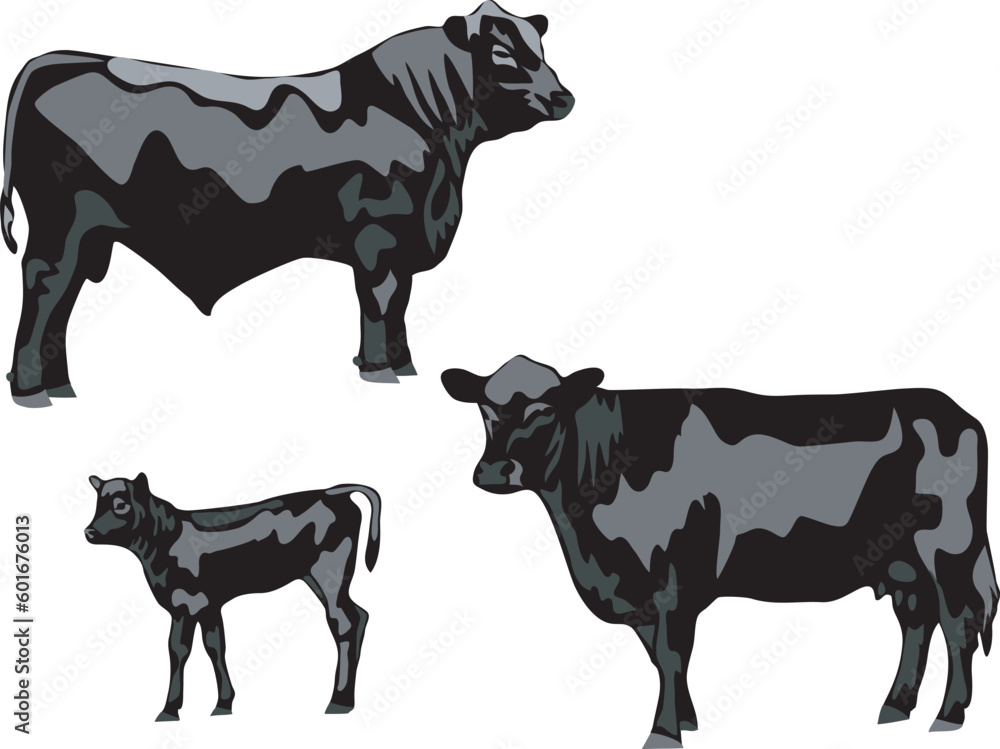 Black Angus - vector illustration Stock Vector | Adobe Stock