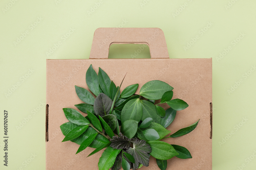 Cardbox from recyclable organic materials with fgreen leaves sprouts on ...